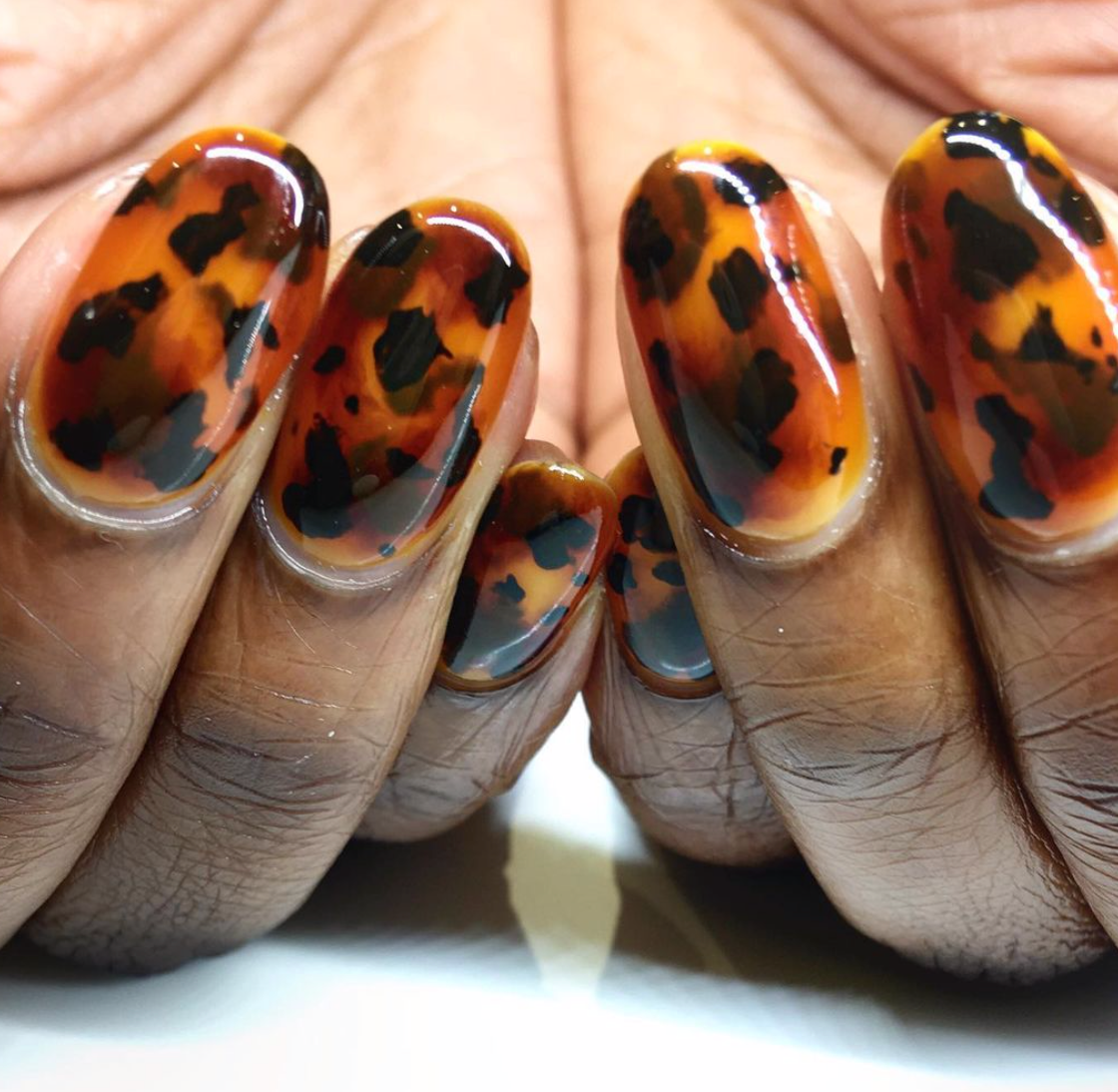 Tortoise Shell Design Kit | KOKOIST USA